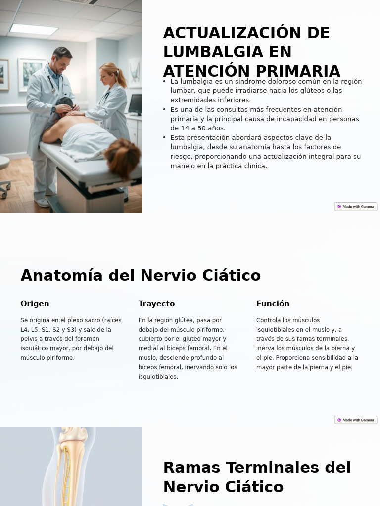 Presentacion Lumbalgia | PDF | Dolor lumbar | Enfermedades y trastornos