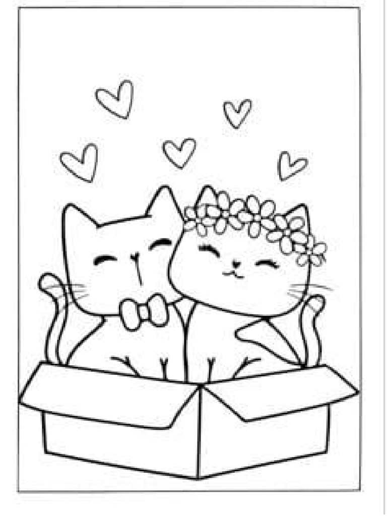 Gatito S | PDF