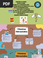 Neurotrat Forte: Usos y Efectos Secundarios | PDF | Vitamina B12 | Alergia