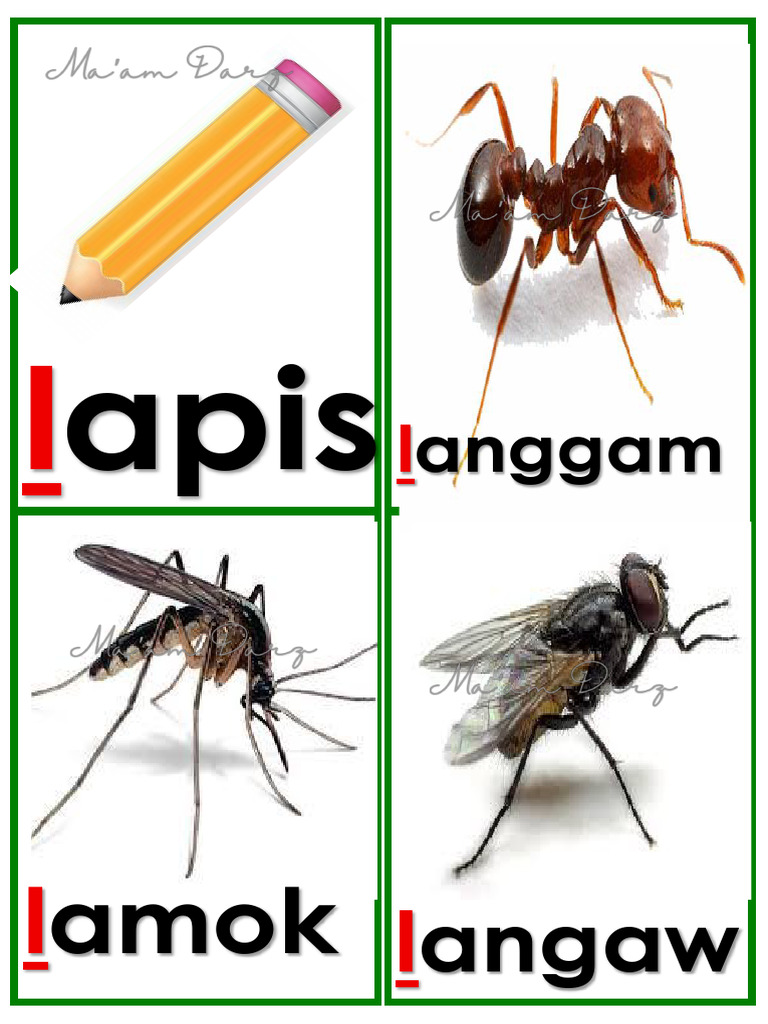 Mga Bagay na Nagsisimula sa L at P | PDF