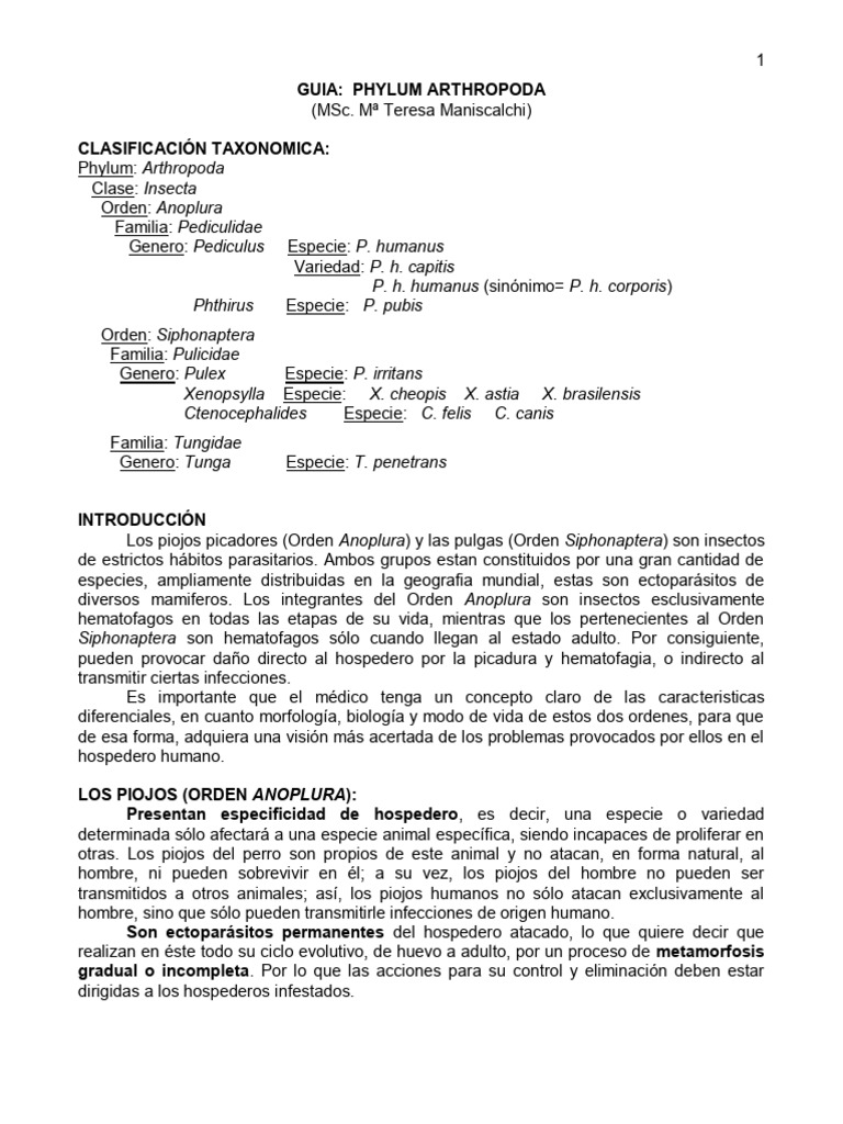 Artropodos Guia N° 1 Anopluros y Siphonapteros | PDF | Peste (enfermedad)