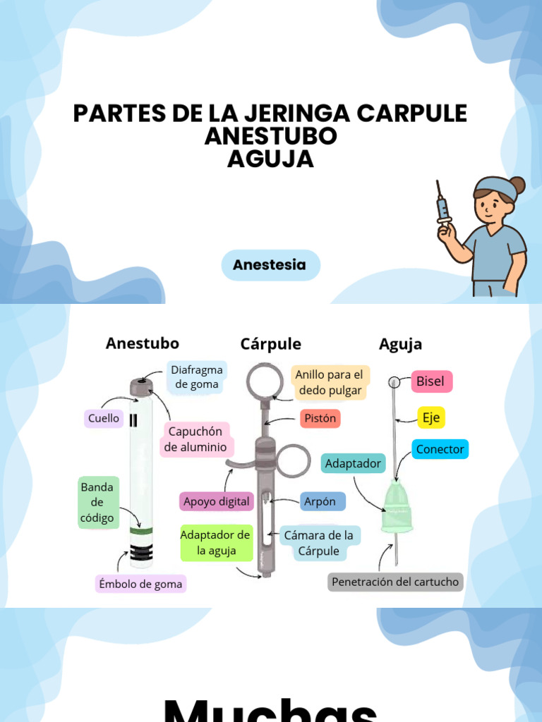 Partes de la Jeringa Carpule | PDF