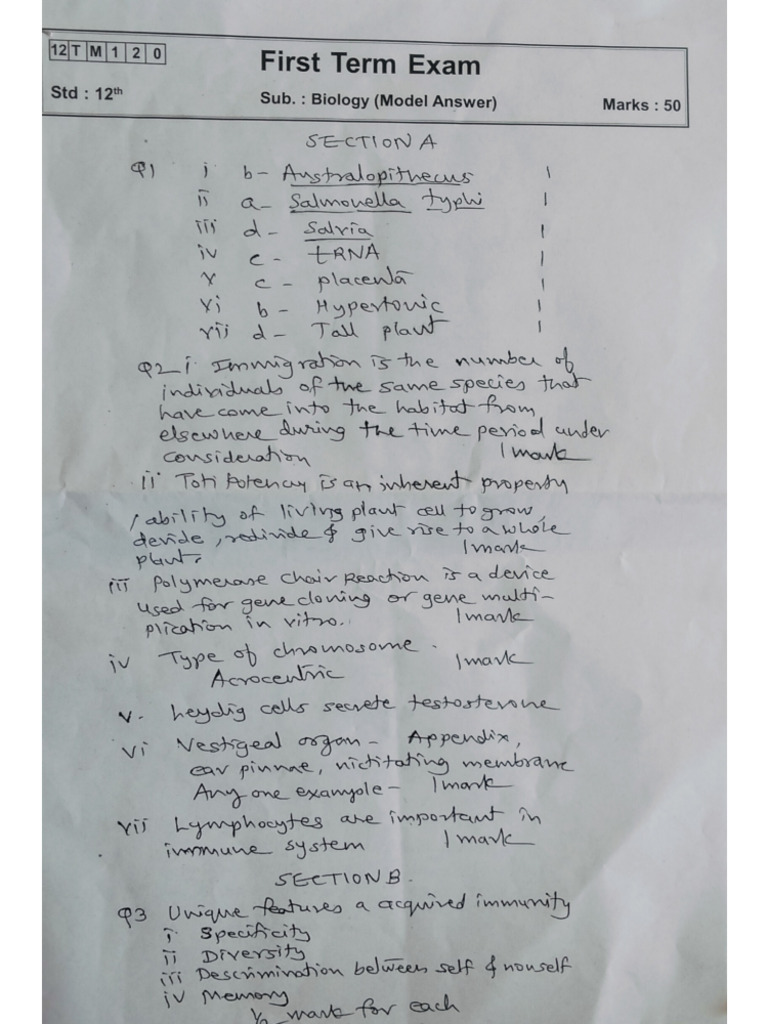 Model (Answer Sheet) | PDF