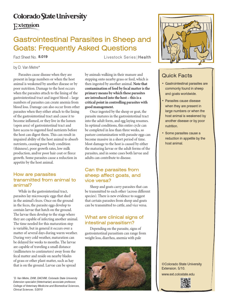 Managing Gastrointestinal Parasites in Sheep and Goats | PDF ...