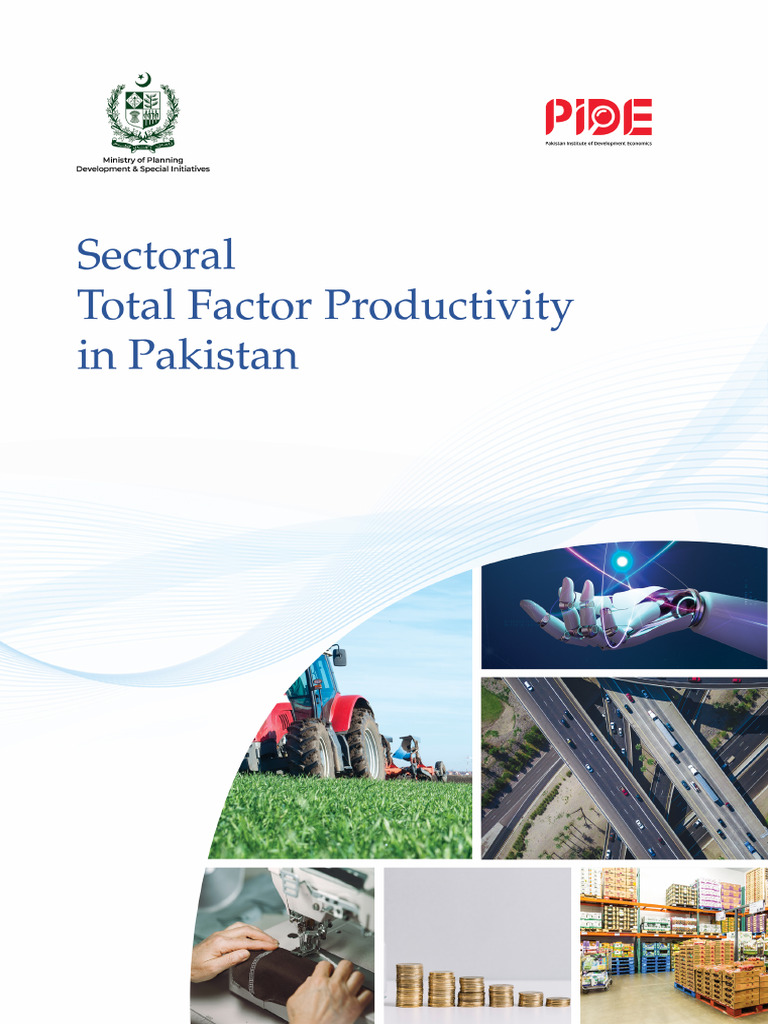 Pakistan's Sectoral Total Factor Productivity | PDF | Economic Growth ...