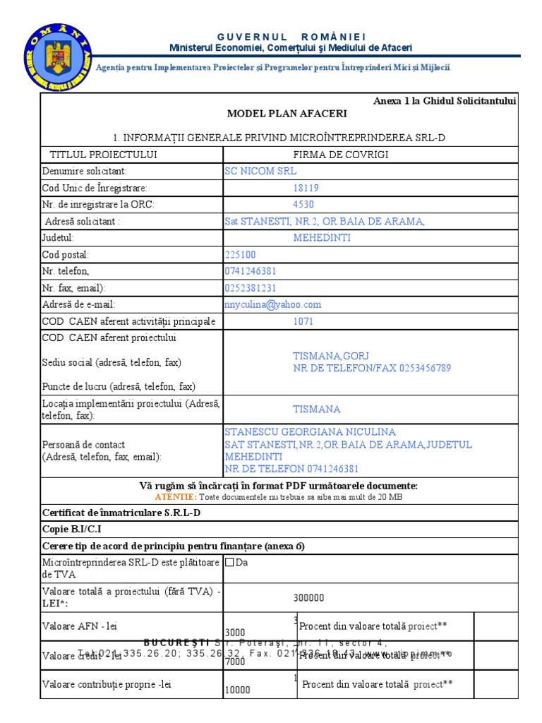 Anexa 1 Model Plan de Afaceri | PDF
