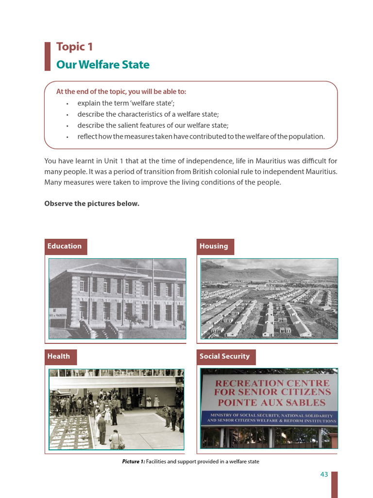 Understanding Mauritius' Welfare State | PDF | Taxes | Welfare State