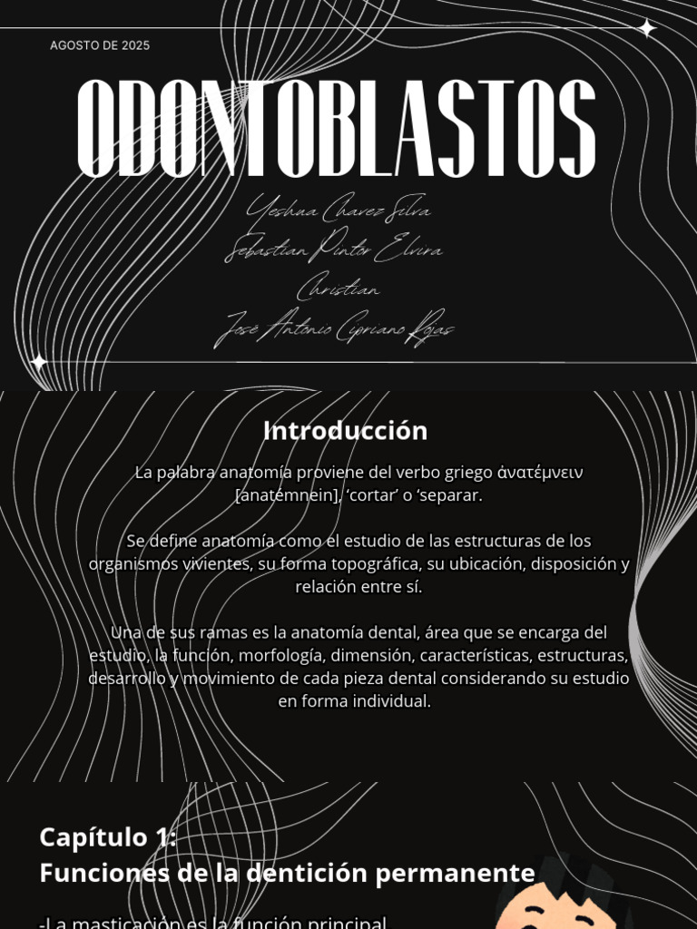 Raices Radiculares - 20250904 - 114025 - 0000 | PDF | Diente | Anatomia ...