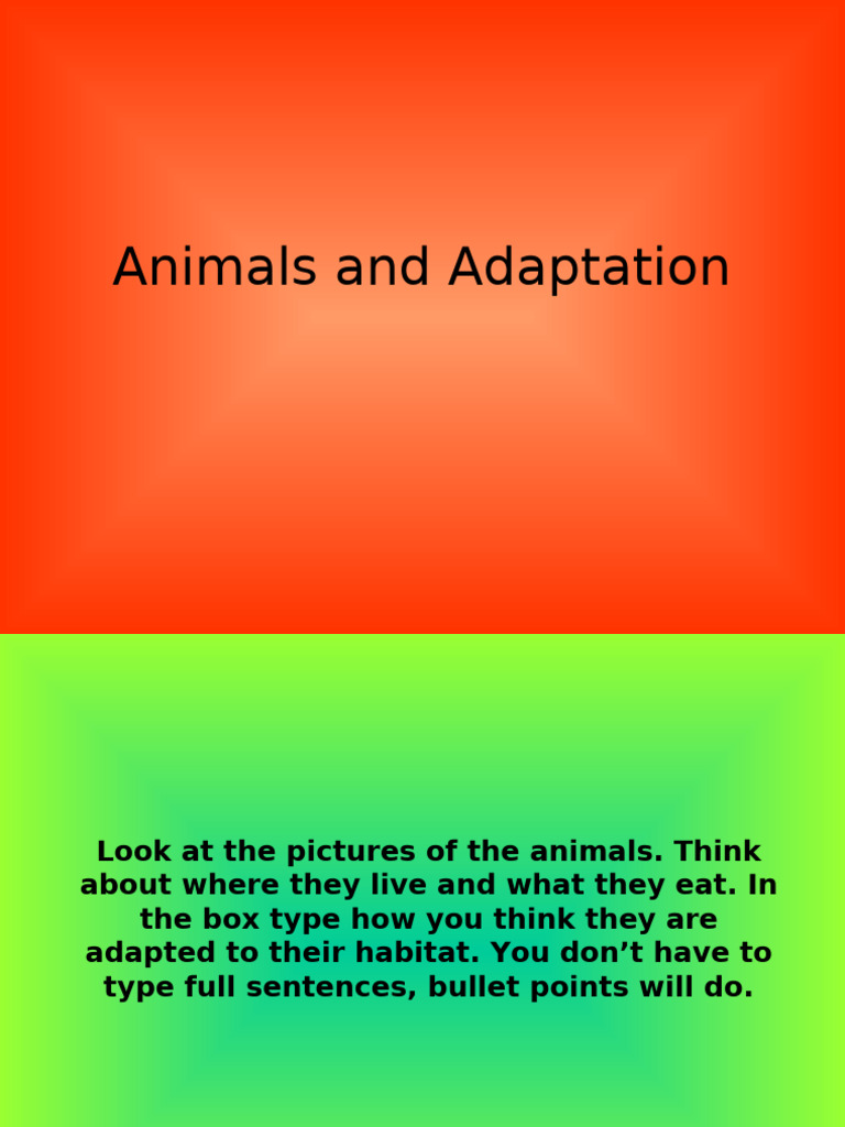 Animals and Adaptation PP Quiz | PDF