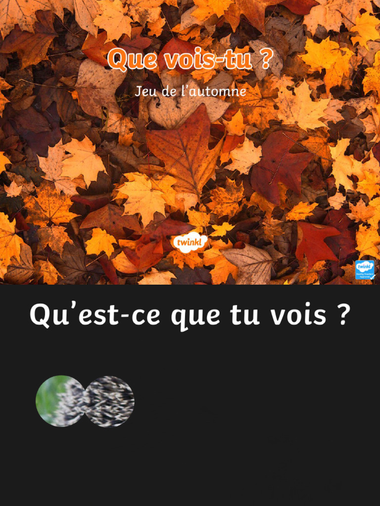 FR T T 6937 PowerPoint Que Vois Tu Jeu de Lautomne | PDF