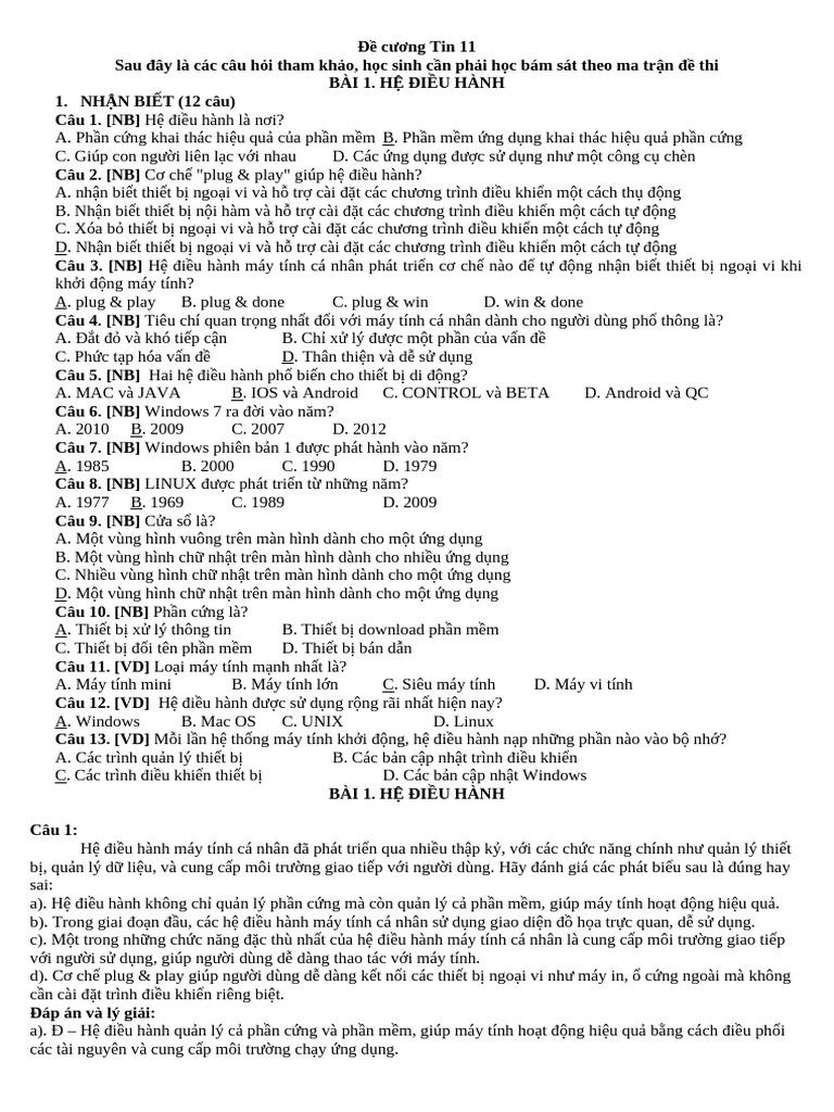 Đề cương Tin 11 | PDF