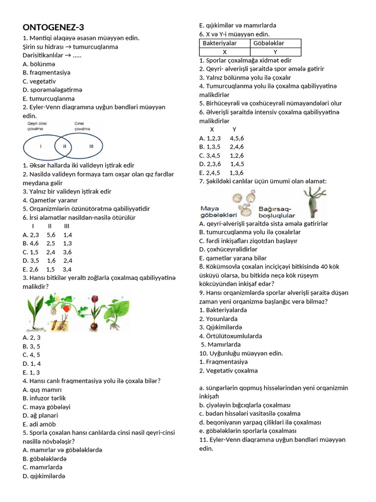 Ontogenez 3 | PDF