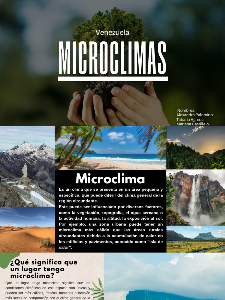 Microclima PDF | PDF | Clima | Andes