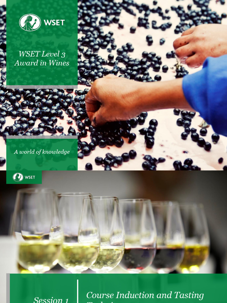 WSET Level 3 Wine Tasting Guide | PDF | Wine | Wine Tasting