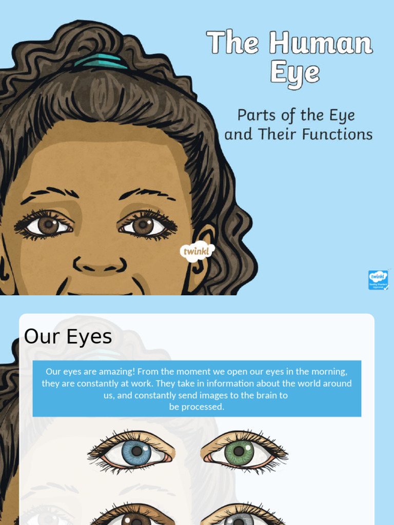 Us2 S 148 Parts of The Eye Powerpoint English Ver 3 | PDF | Eye | Human Eye