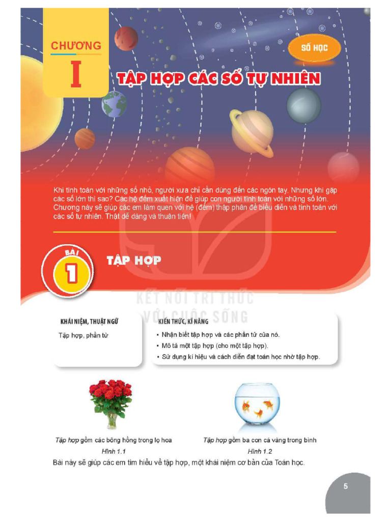 Toan 6 Tap Hop | PDF