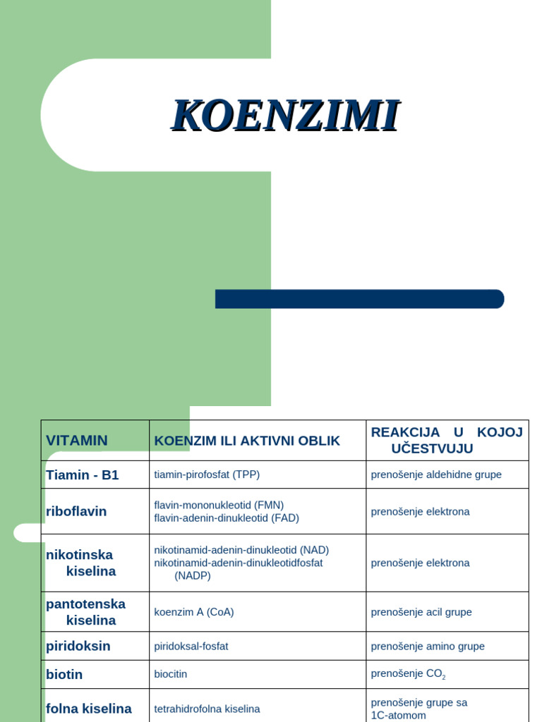 Koenzimi 09 | PDF