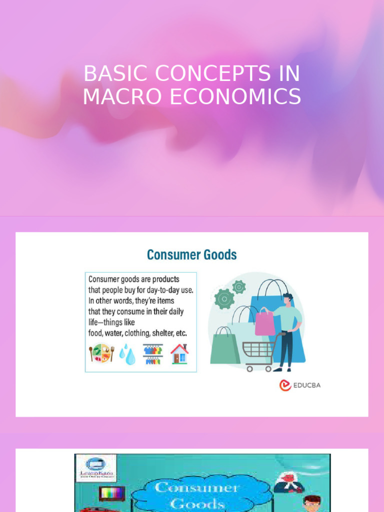 Basic Concepts in Macro Economics | PDF
