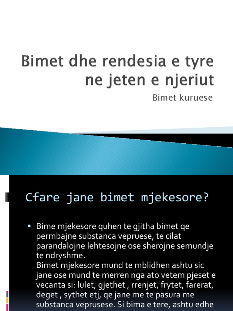 Bimet Dhe Rendesia e Tyre | PDF