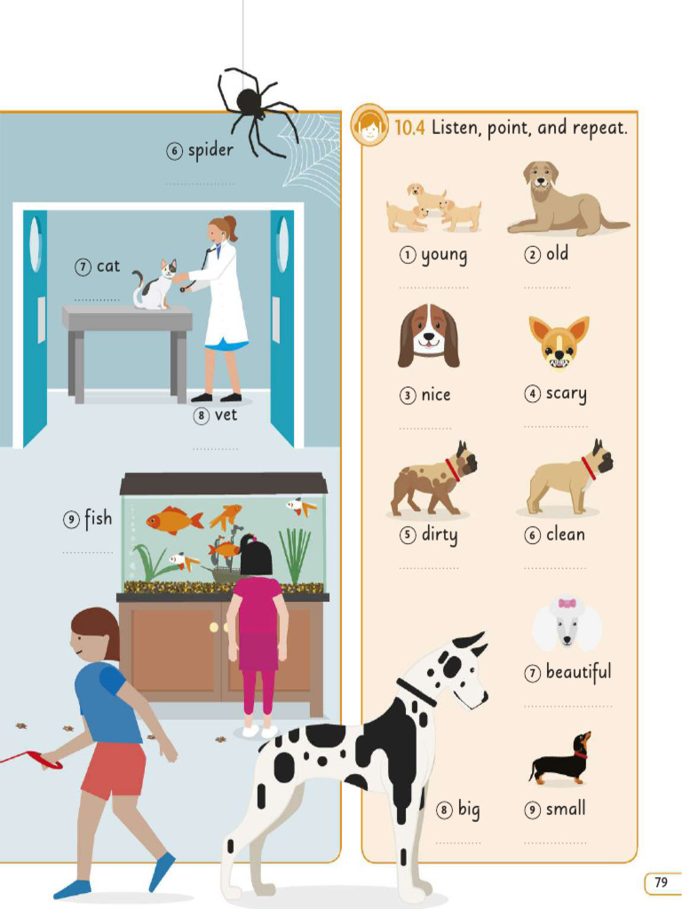 English For Everyone Junior Beginners-Trang-79 | PDF