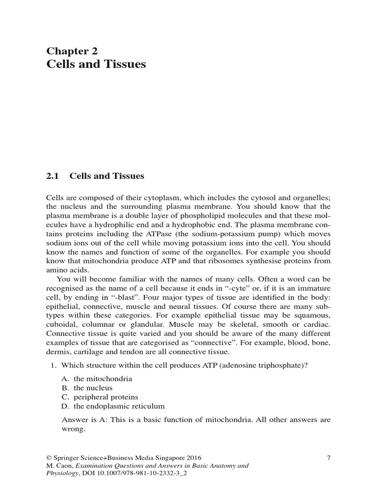 Chap-2 Cells and Tissues | PDF | Cell Membrane | Epithelium