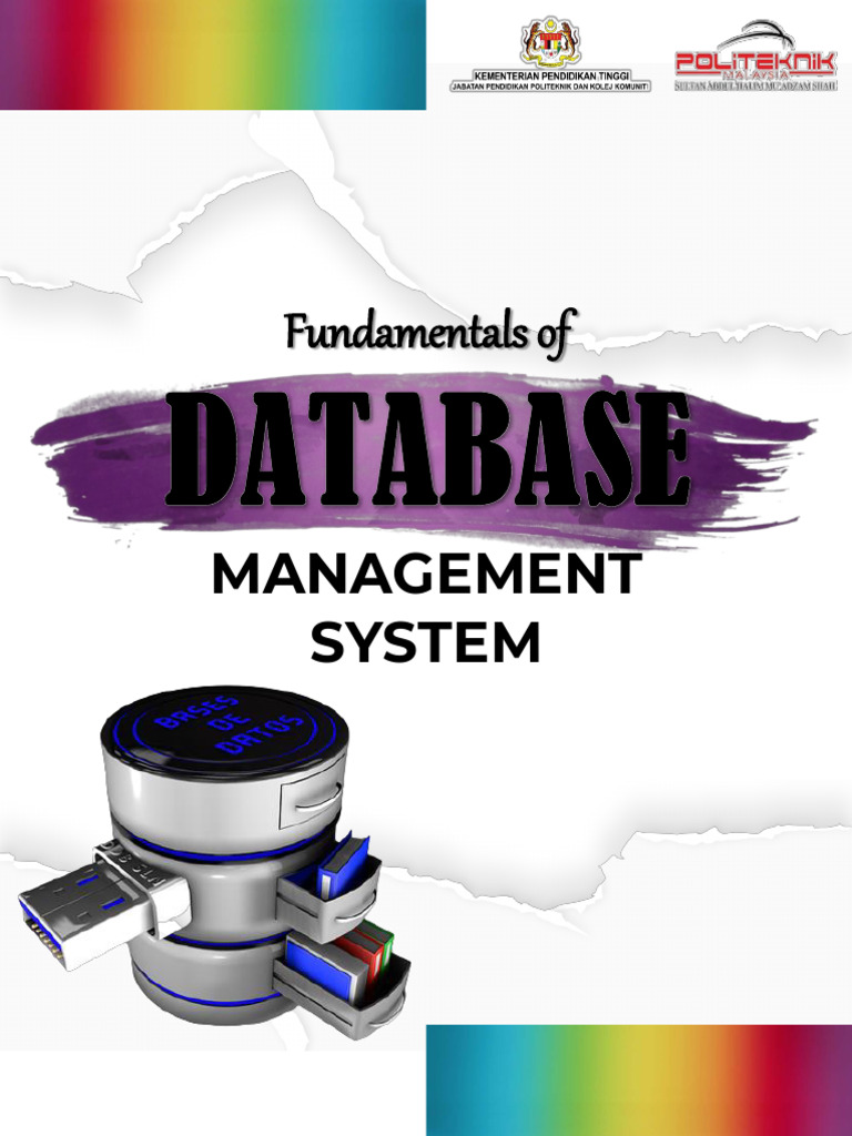 Database Management System Basics | PDF | Databases | Conceptual Model