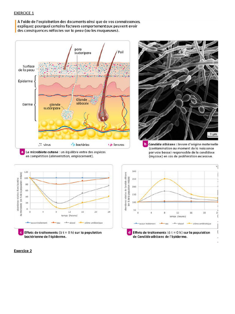 Exercices de SVT | PDF