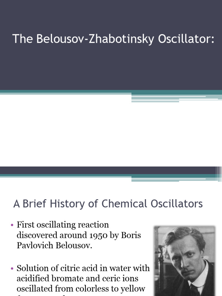 Overview of the BZ Reaction Dynamics | PDF | Chemical Process ...