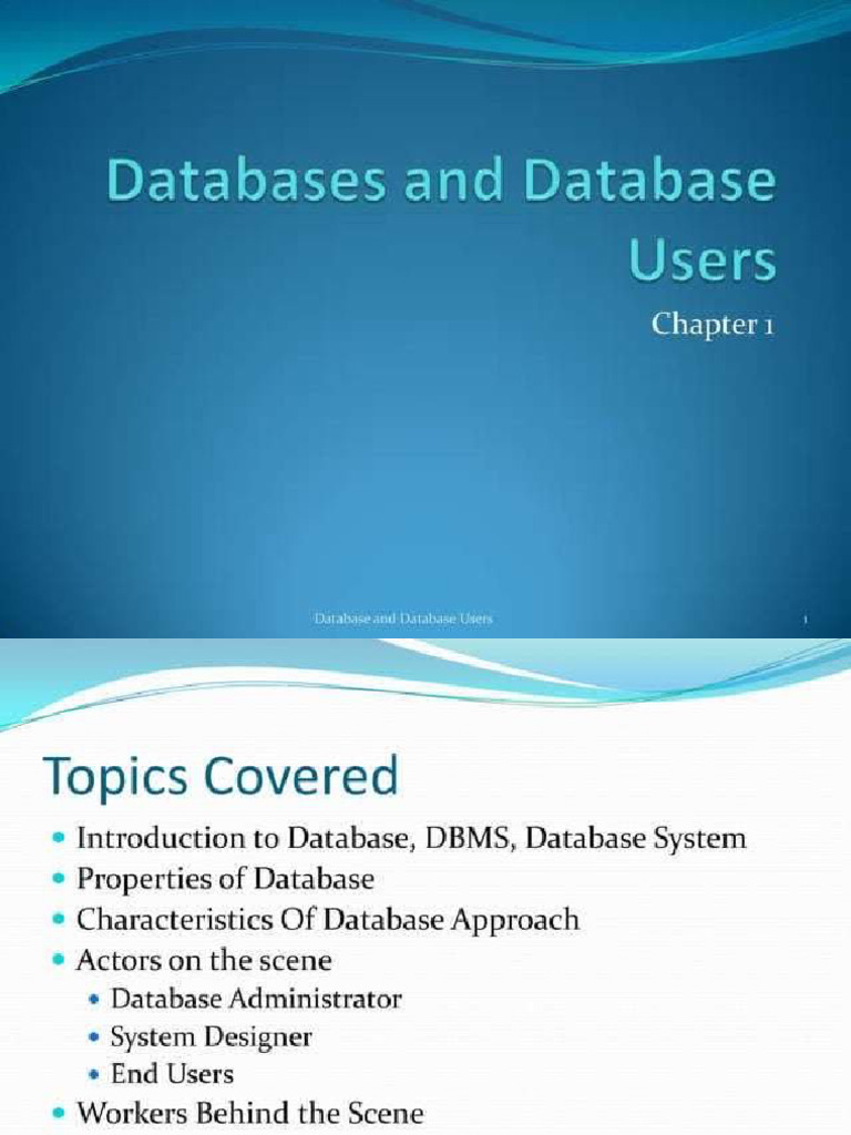 Database and Database Users | PDF