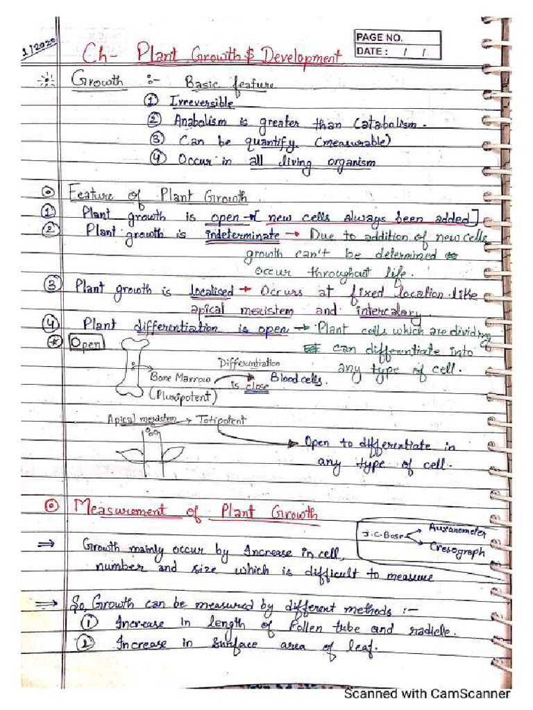 Plant Growth and Development - Handwritten Notes | PDF