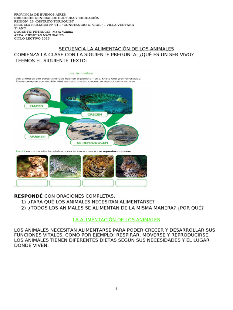 Alimentación de los Animales en Clase | PDF | Zoología