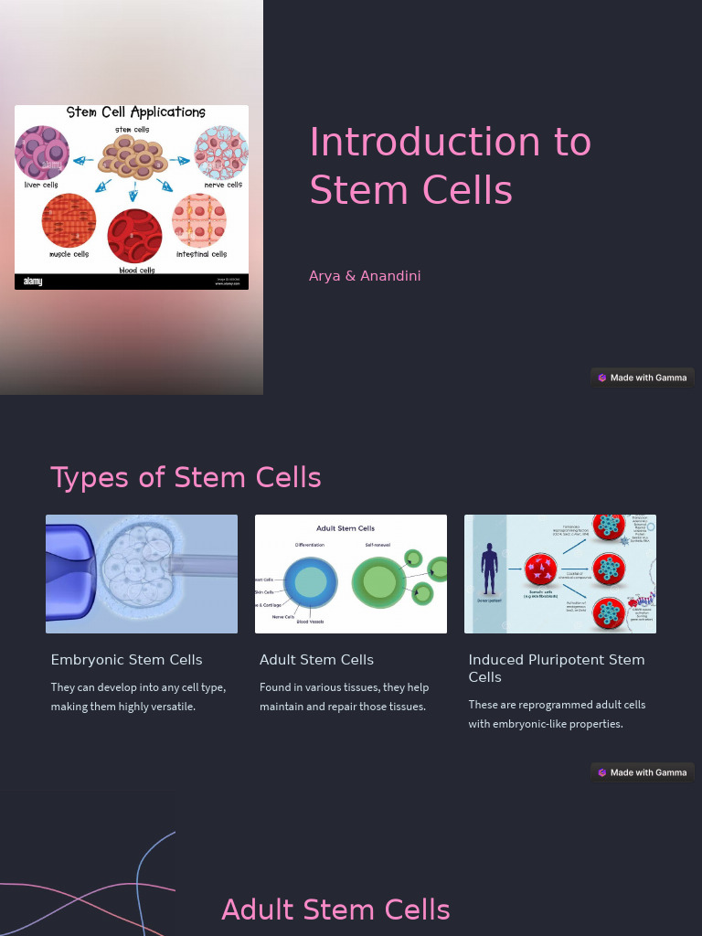 Introduction-to-Stem-Cells CAIE AS&A Level BIOLOGY | PDF | Stem Cell ...