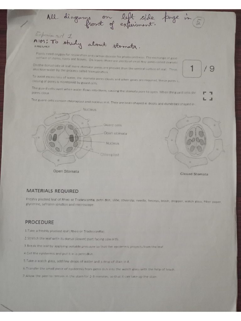 Bio X Practicals | PDF