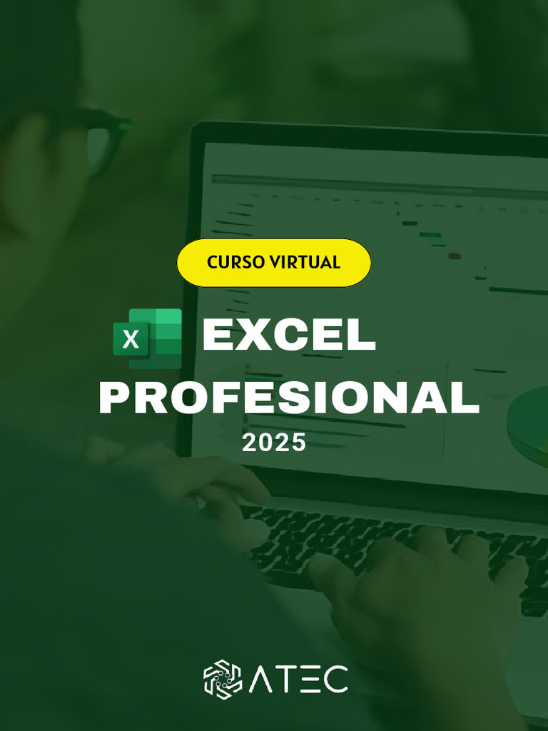 Excel Profesional 2025 | PDF | Microsoft Excel | Maestros