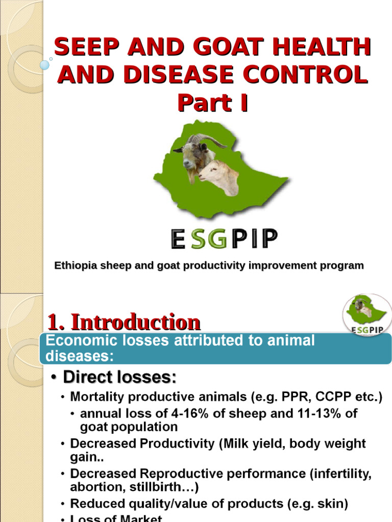 Sheep and Goat Health Care and Disease Control 1 | PDF | Infection ...