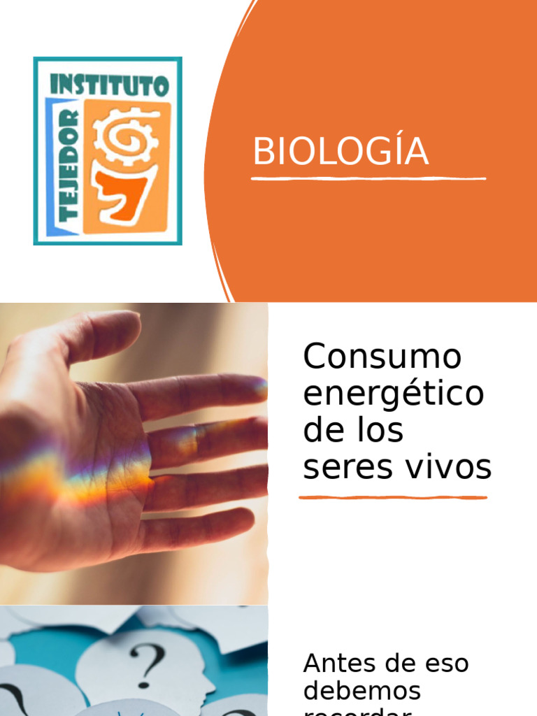 Consumo Energetico 2025 | PDF | Organismos | Naturaleza
