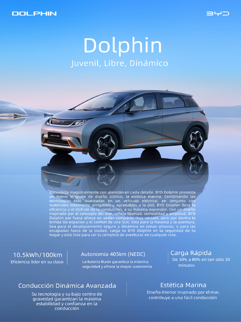 Dolphin | PDF