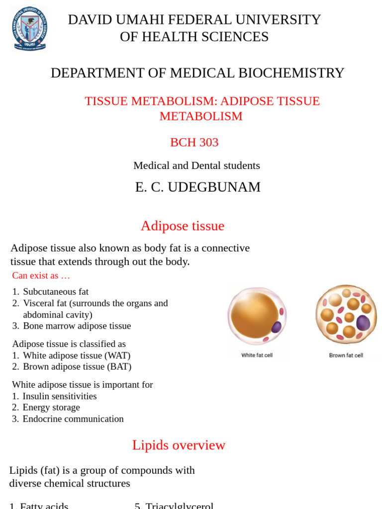 Adipose Tissue Metabolism | PDF | Adipose Tissue | Leptin