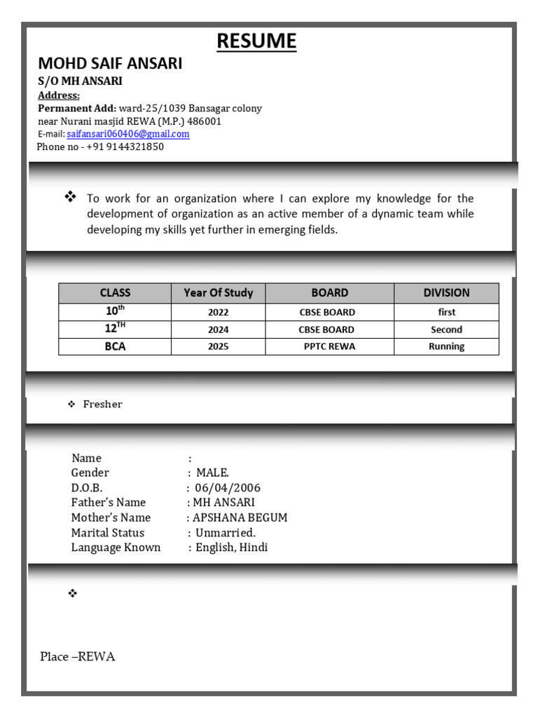 Saif Resume | PDF