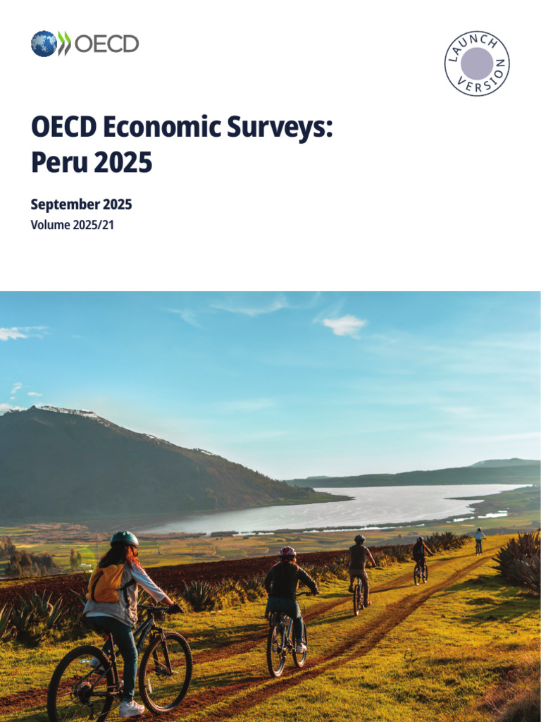 Peru Economic Survey OECD 1760198960 | PDF | Macroeconomics | Taxes
