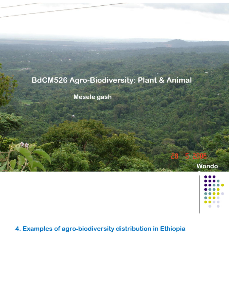 Agro-Biodiversity Mapping in Ethiopia | PDF | Agriculture | Cereals