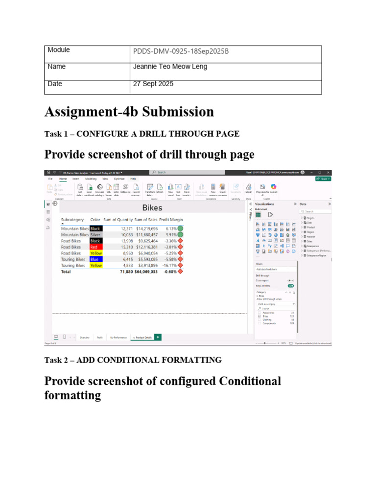 Assignment 4b Submission Template | PDF
