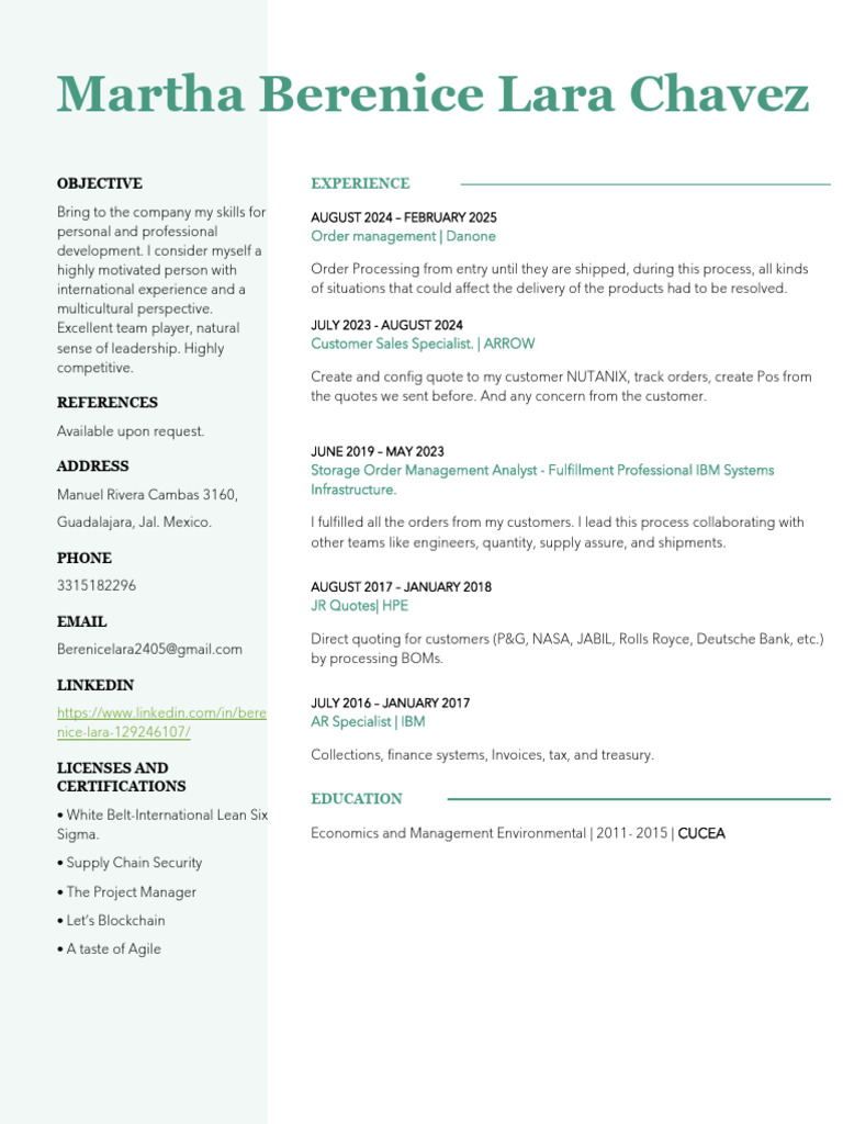 CV Martha Berenice Lara Chavez | PDF