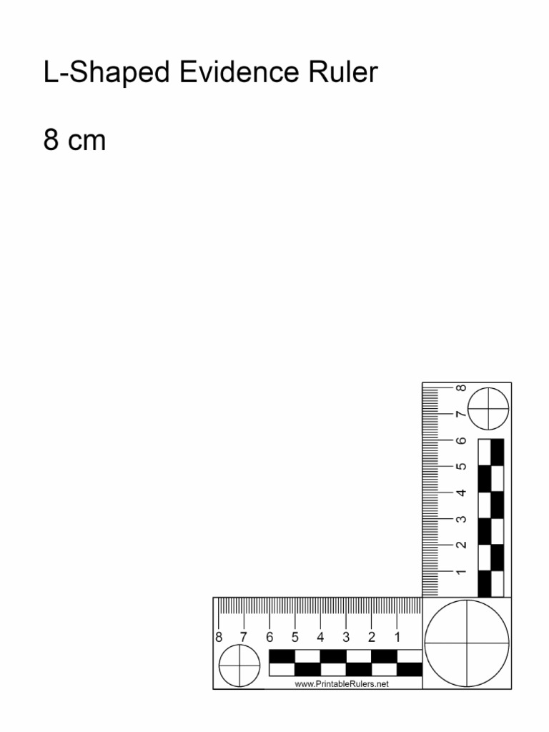 Evidence Ruler 8 Centimeters | PDF
