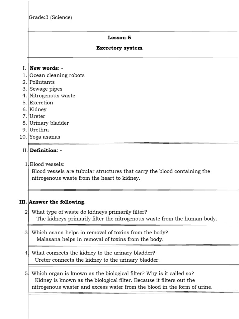 G.3 5 Excretory System | PDF