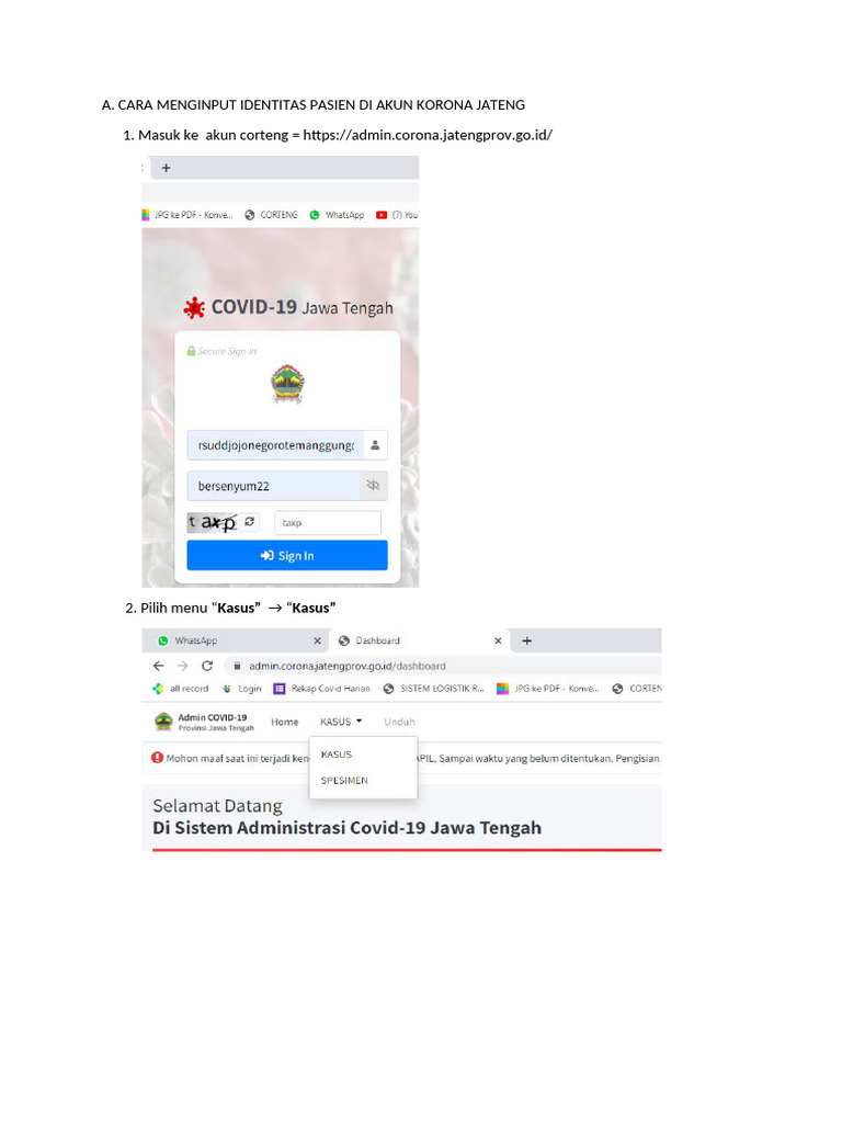 Panduan Input Data Pasien Korona Jateng | PDF
