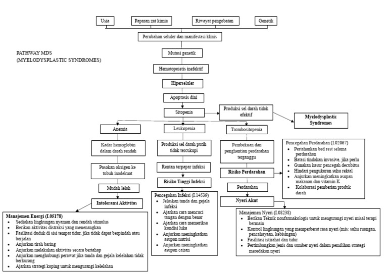 Manajemen Myelodysplastic Syndromes | PDF