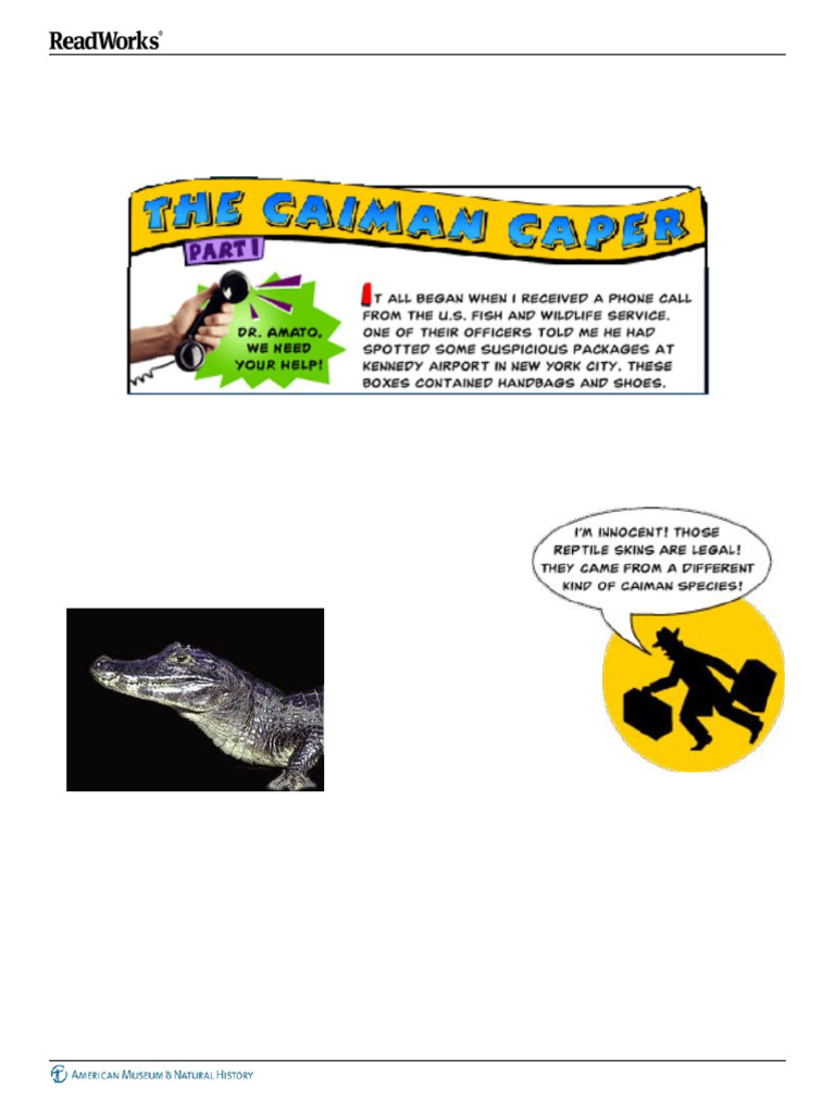 DNA Detective | PDF | Dna | Crocodile
