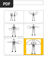 MARSHALLING Signals | PDF