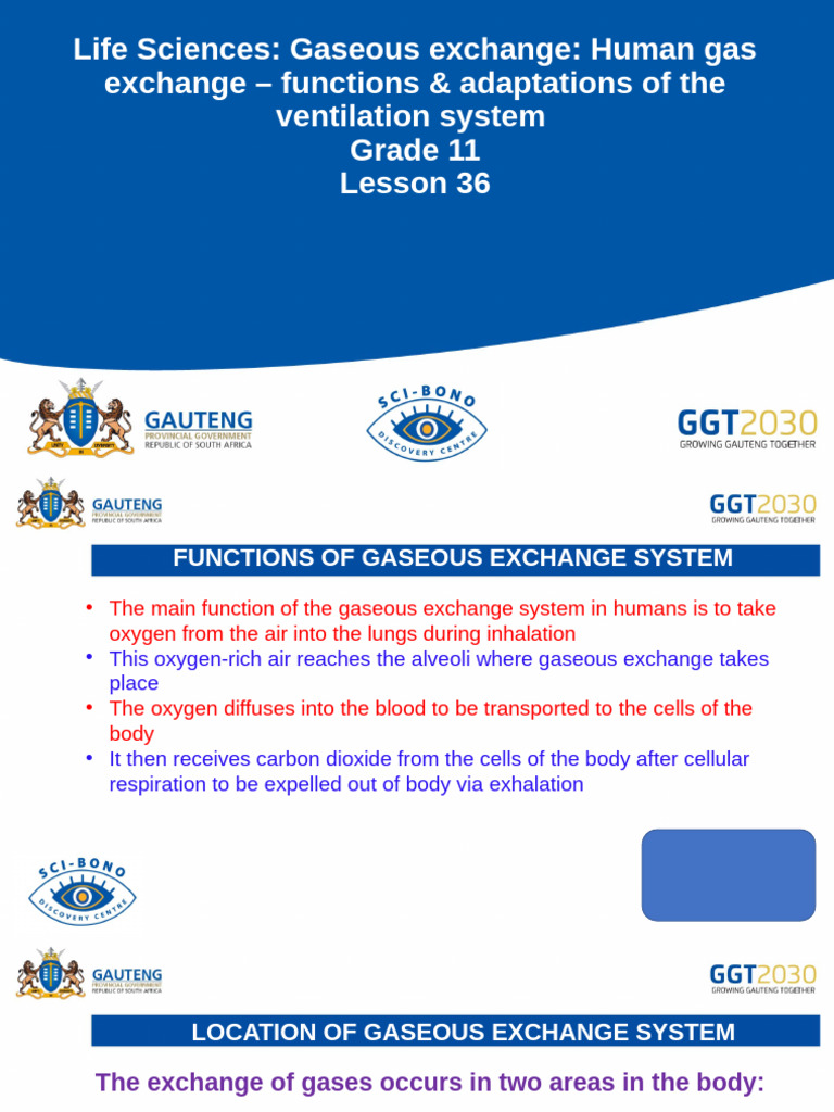 Life Sciences Gr.11 Lesson 36 (Human gas exchange, functions and ...